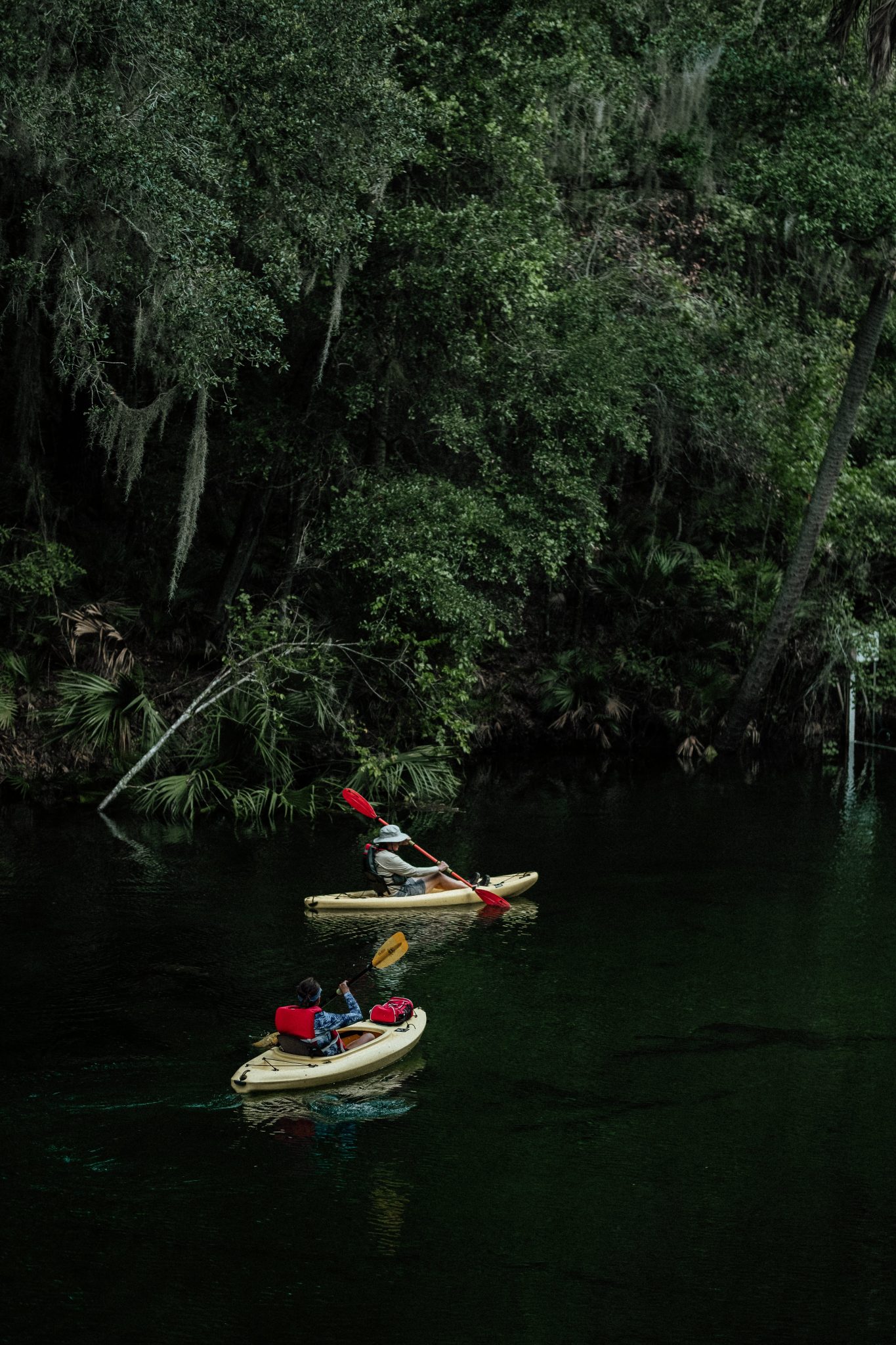 What is regenerative and sustainable tourism? - Travel World Escape